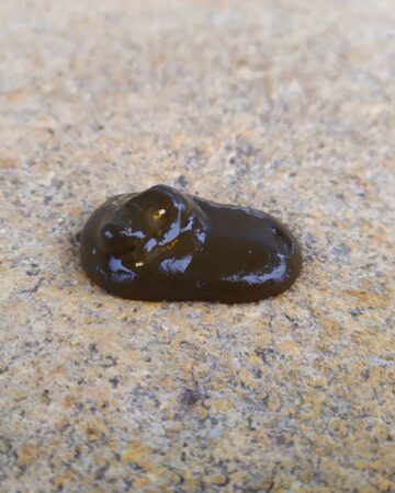 Chicken Poop Guide: Is Your Chicken's Poop Normal?