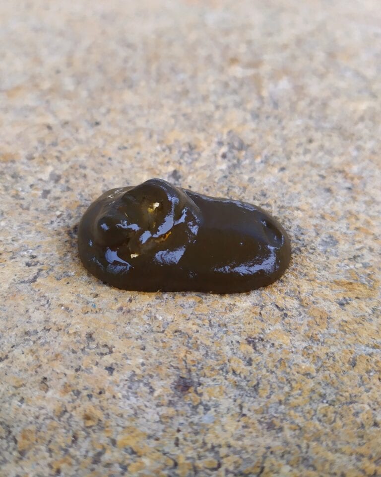 Chicken Poop Guide: Is Your Chicken's Poop Normal?