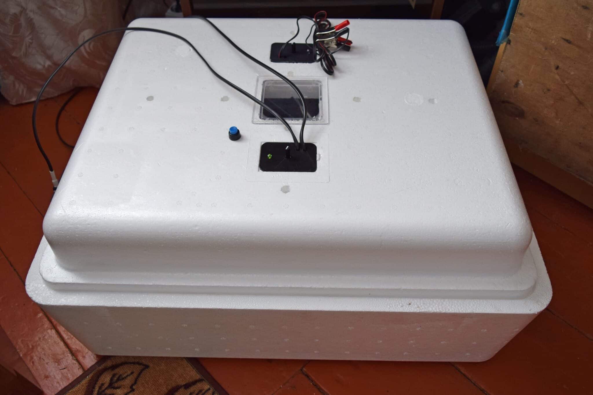 Hatching Chicken Eggs: A Step-by-Step Beginner’s Guide