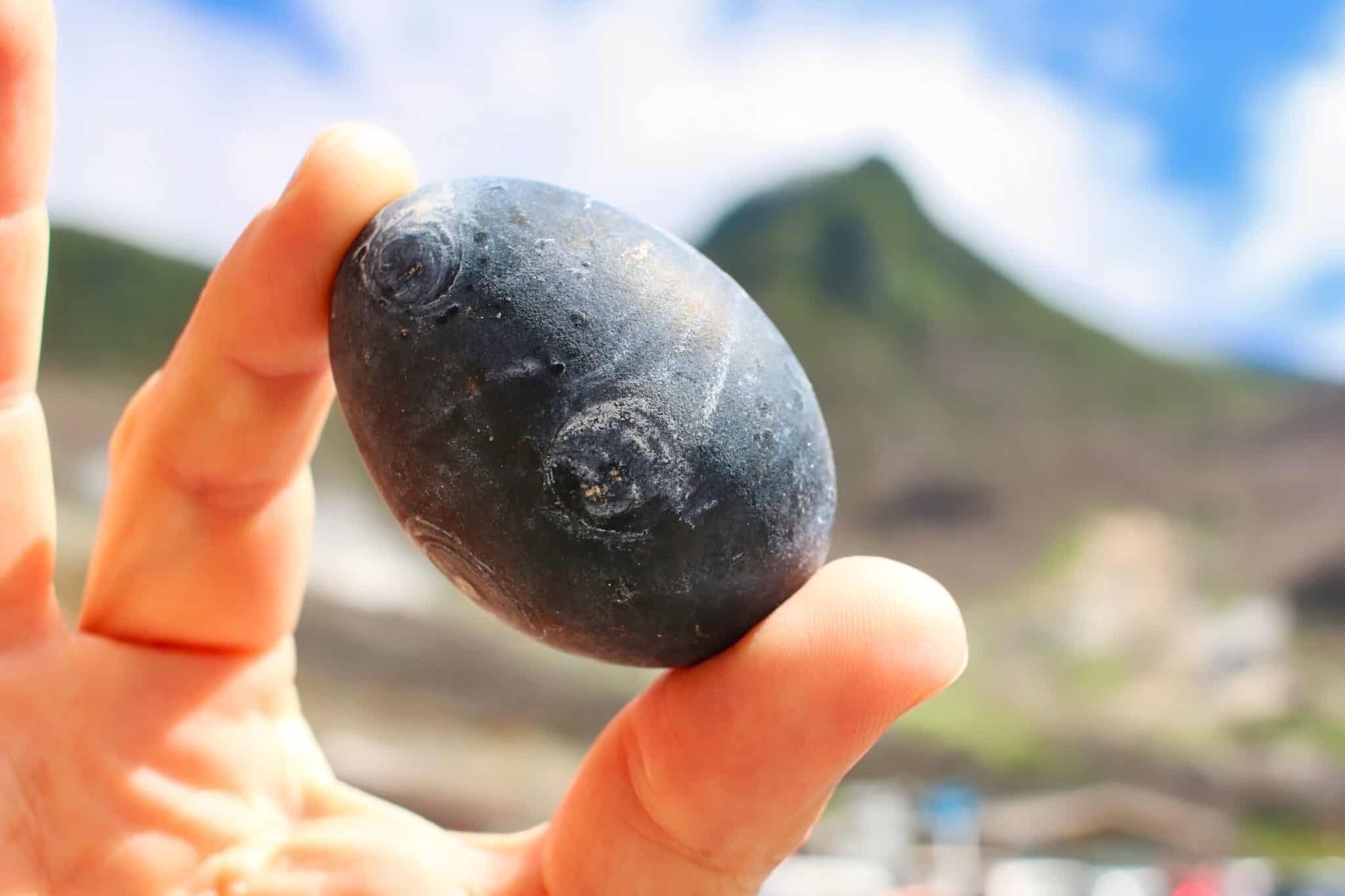 Black Chicken Eggs: What Chicken Breeds Produce Them?