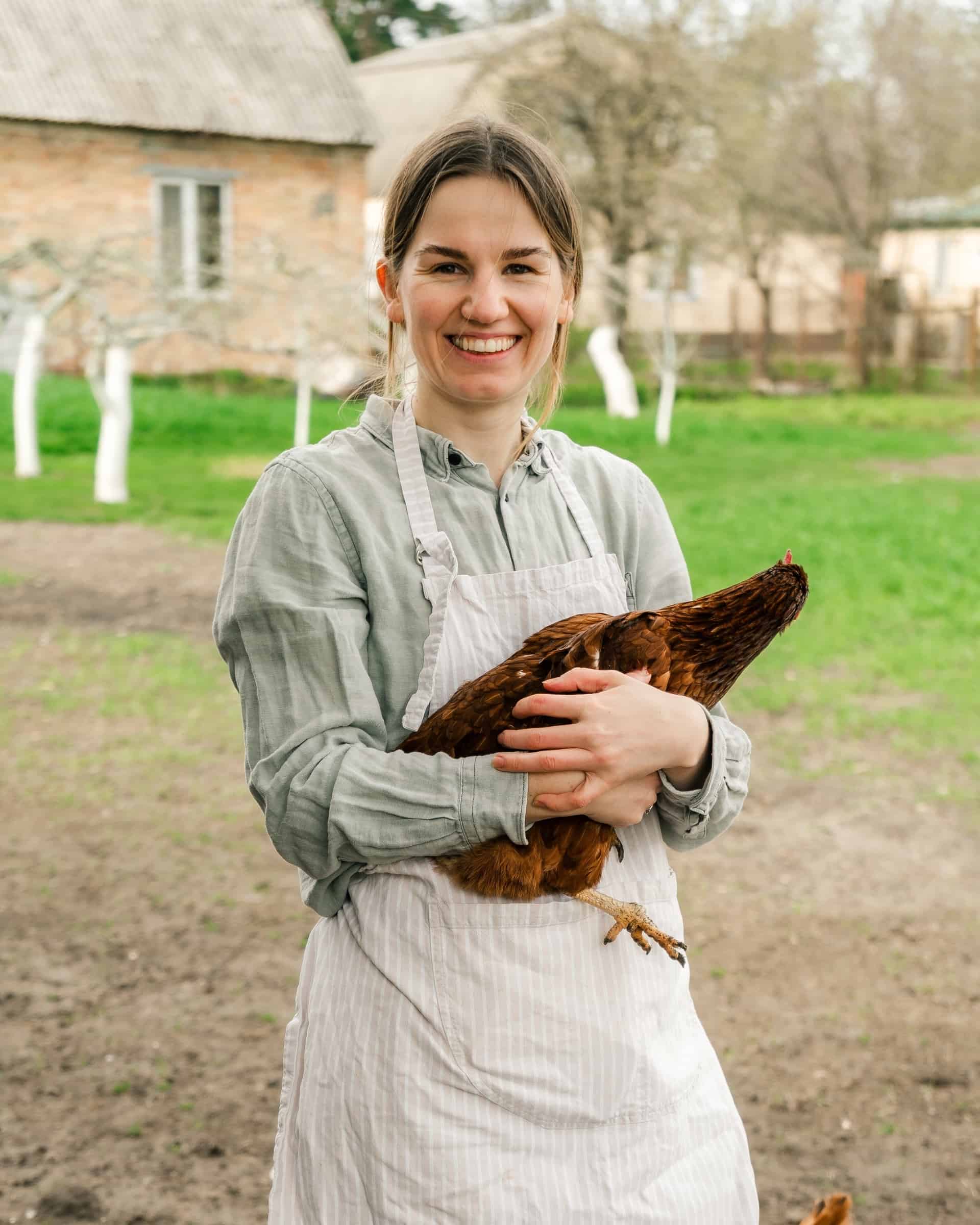 Ella Harvey - Daily Chickens