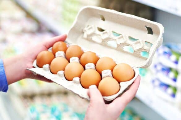 Chicken Egg Colors Chart (By Egg Color & By Breed)