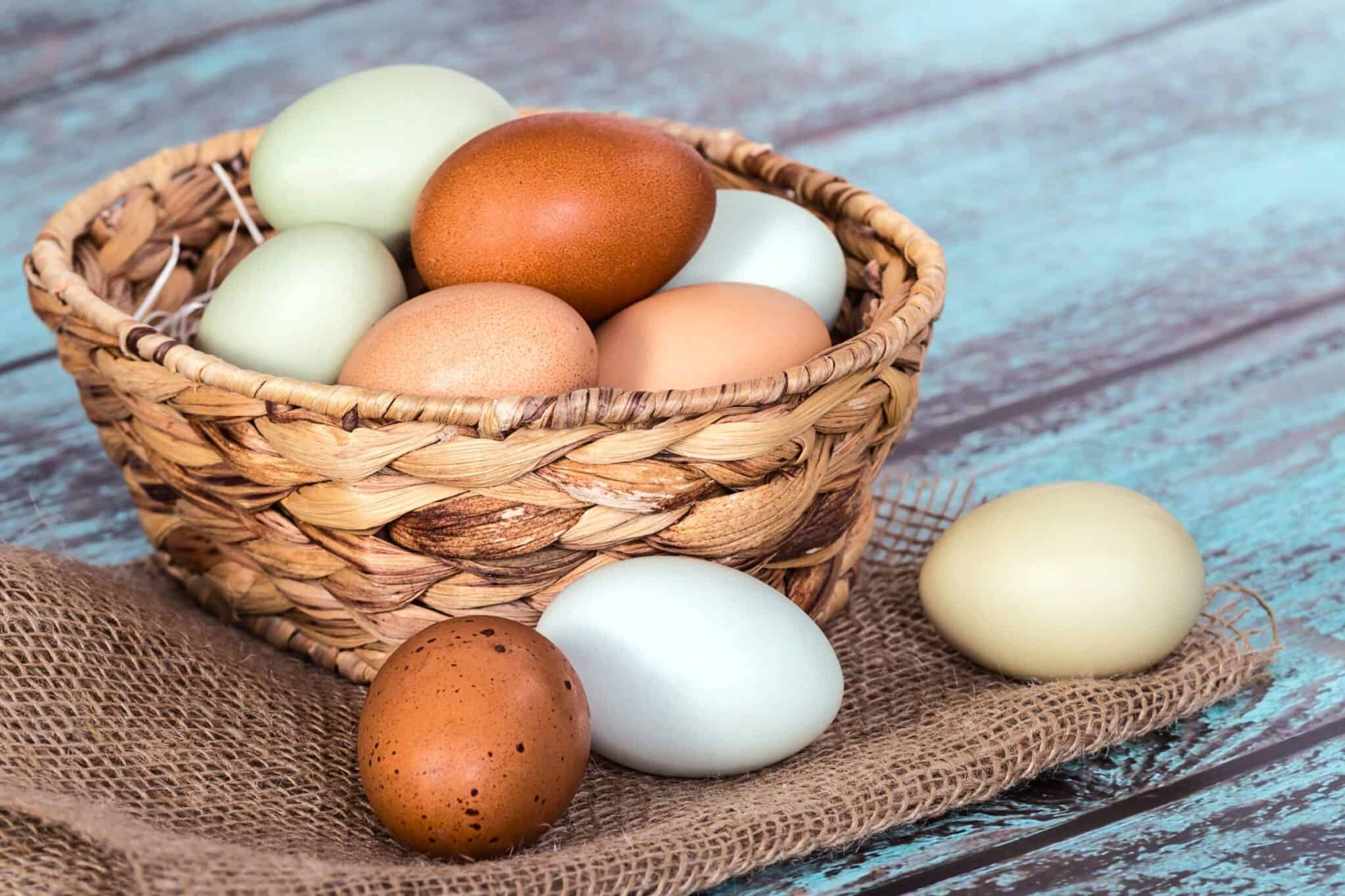 Chicken Egg Colors Chart (By Egg Color & By Breed)