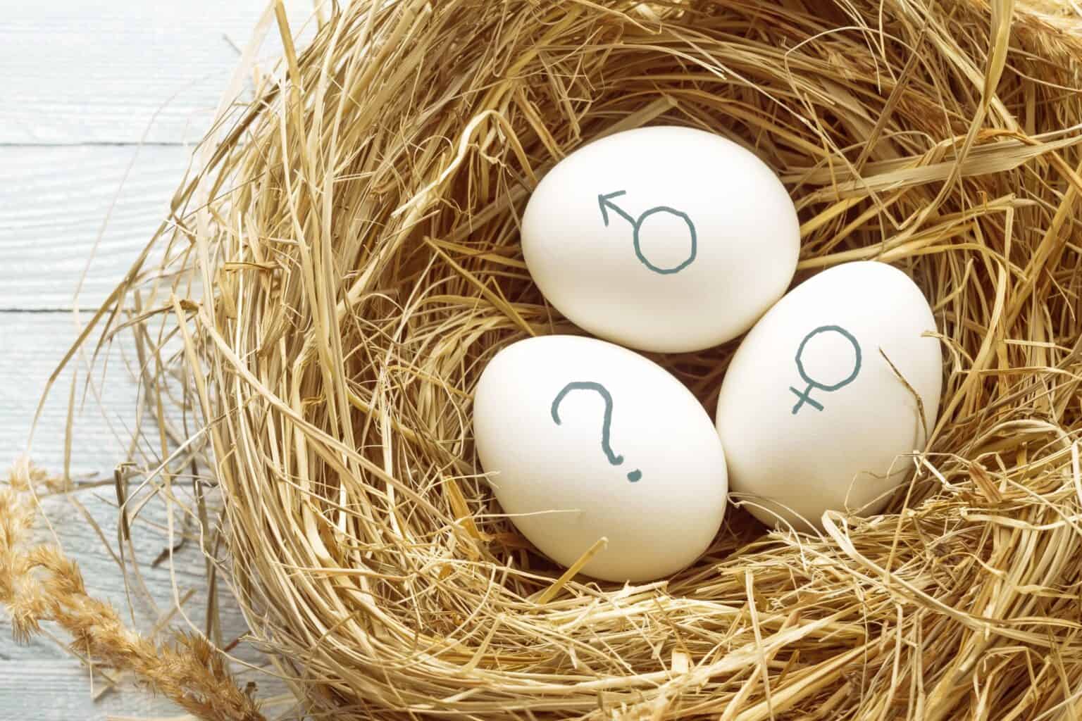 10 Ways To Tell If Chicks Are Hens Or Roosters