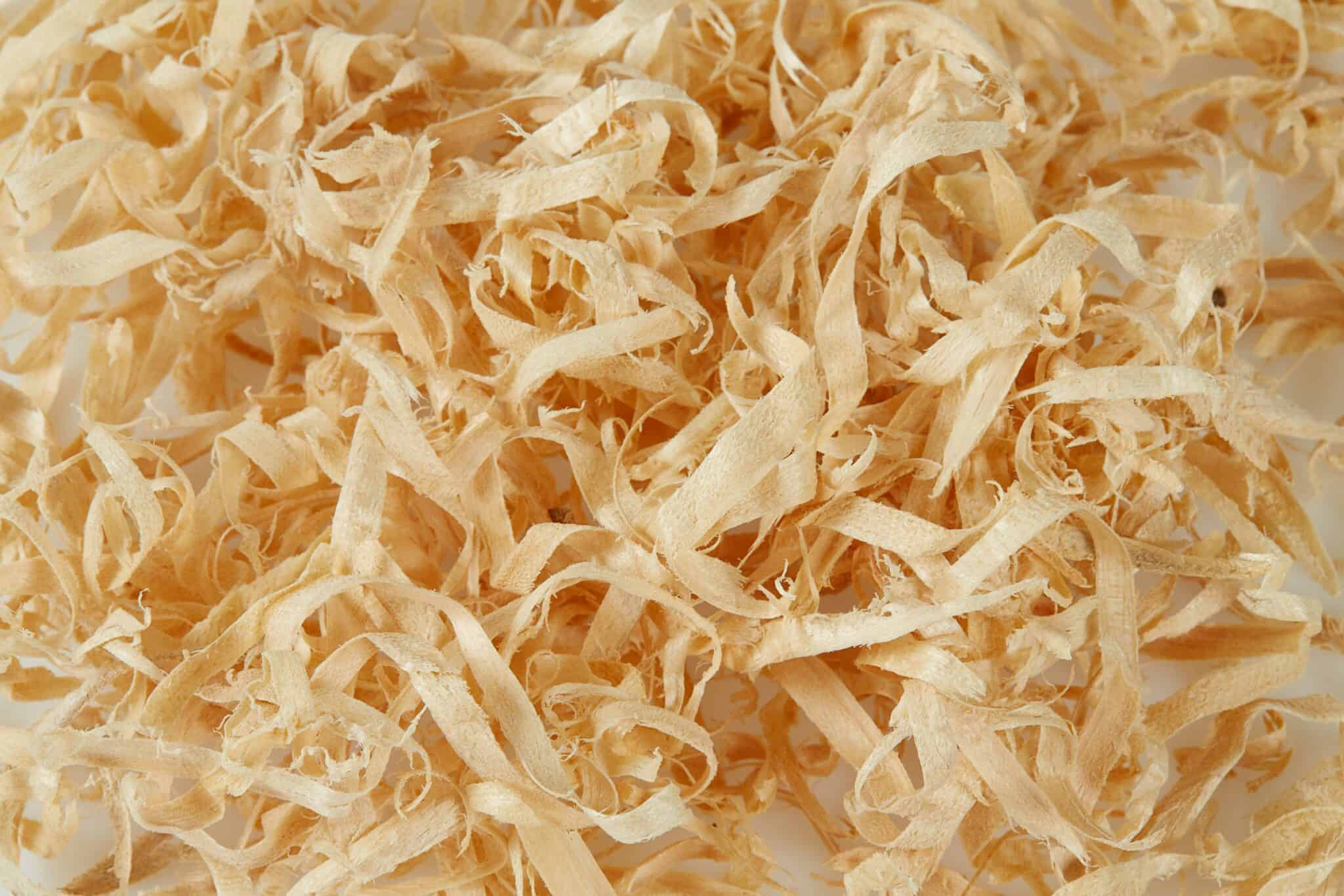 8 Best Bedding Options for Your Chicken Coop