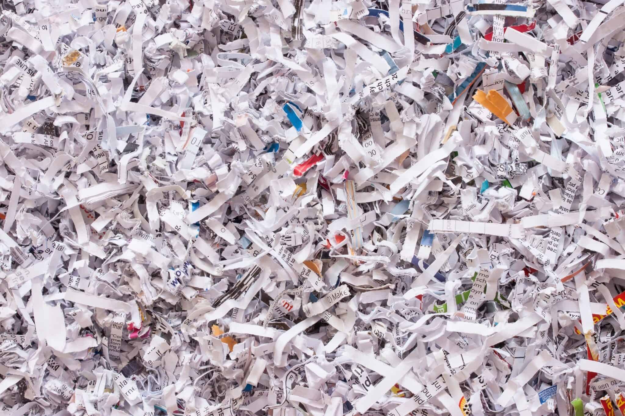 8 Best Bedding Options for Your Chicken Coop